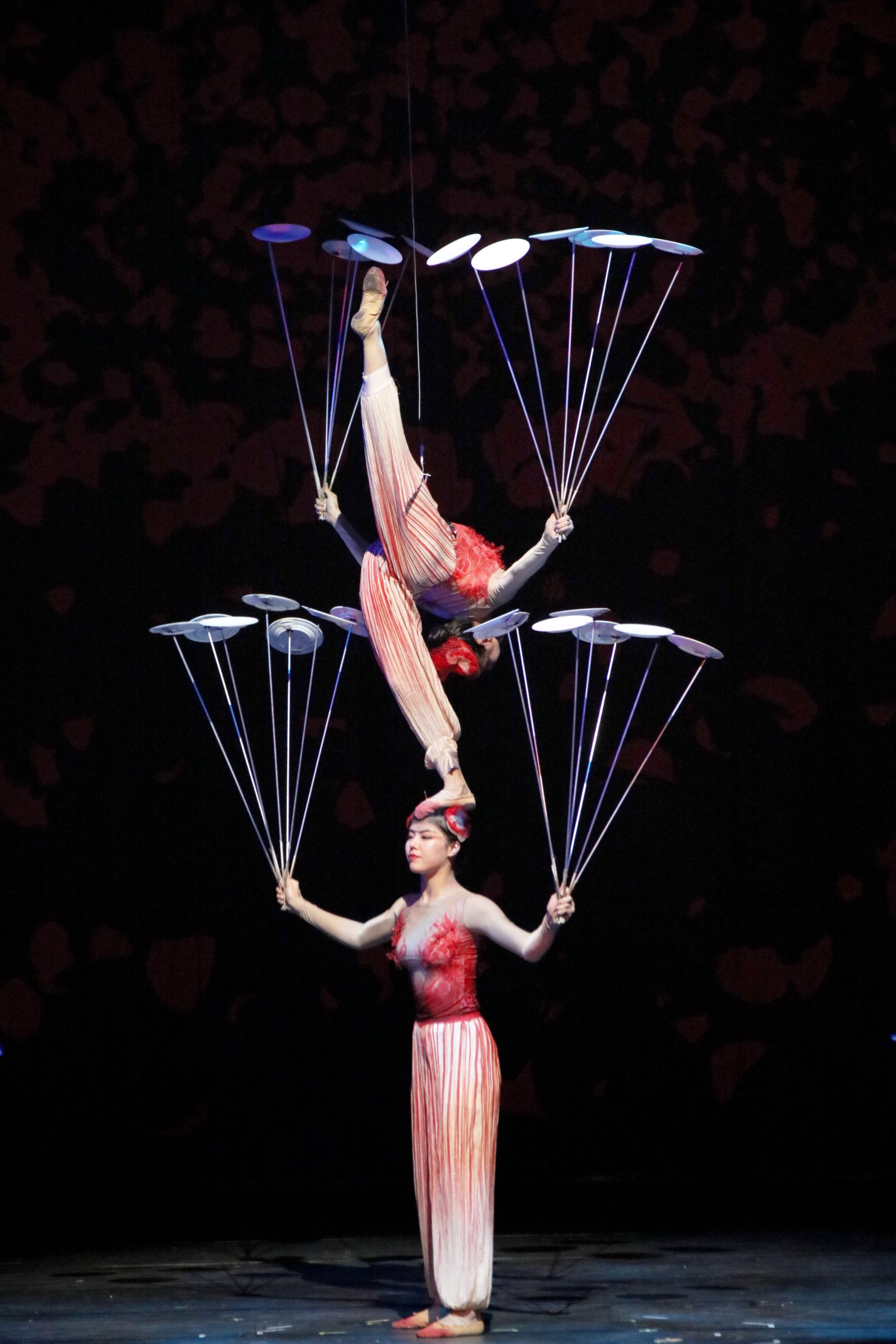 Chinese Acrobatic School International Students Study Chinese